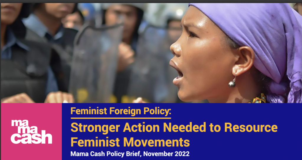 Feminist Foreign Policy: Stronger Action Needed to Resource Feminist ...